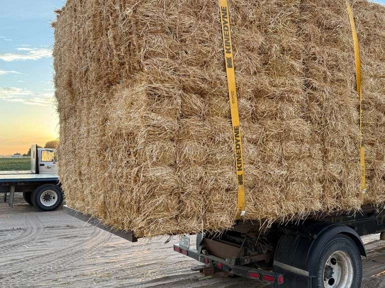 1 Bundle of 18 Small Square Bales of Straw, Sold by the Bale, 30-40 lbs ...