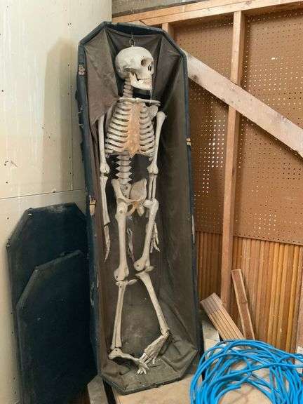 Life Size Skeleton in Old Casket - Kraupie's Real Estate & Auctioneers