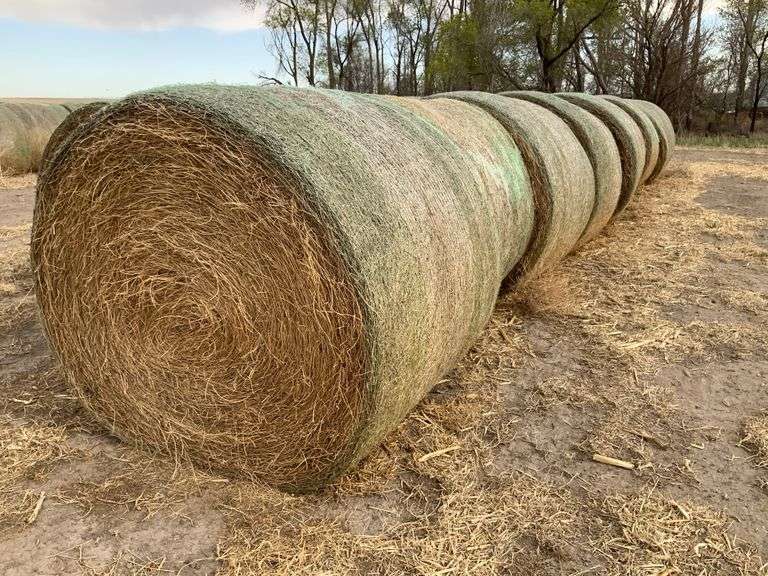 17 Big Round Bales of Alfalfa, Green, With Leaves, Finer Stemmed ...
