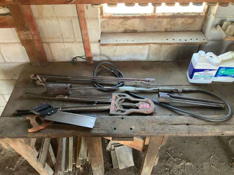 Dehorners, Propane Torch, 2 Saws and Cauterizing Irons - Kraupie's Real ...