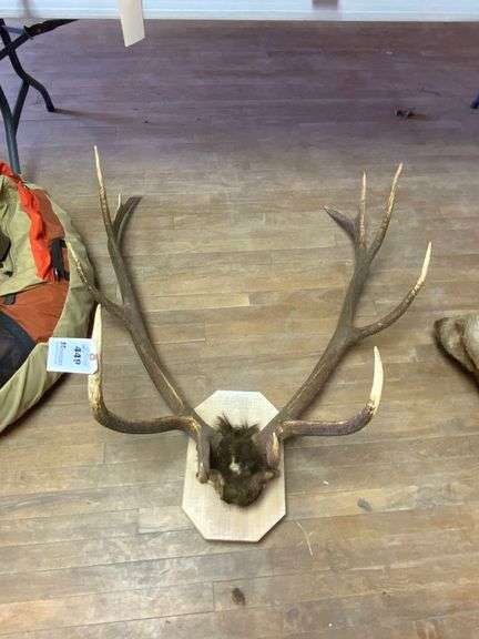 1 Elk Mount - Kraupie's Real Estate & Auctioneers