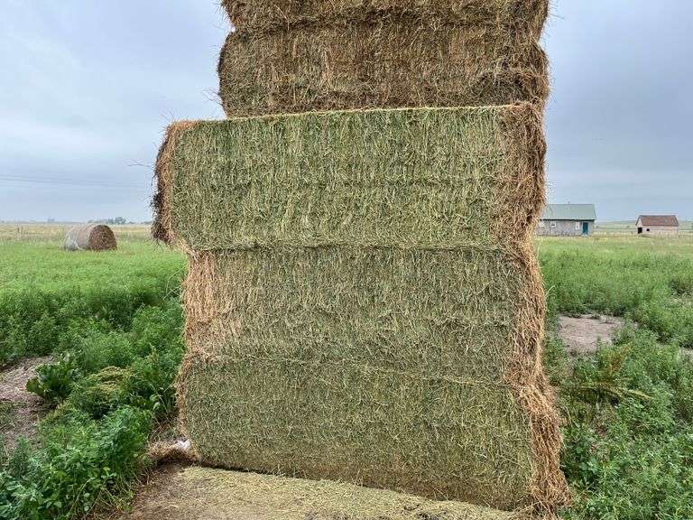 5-3' x 4' Big Square Bales of 3rd Cutting Alfalfa, 1,325 lbs. Ave ...