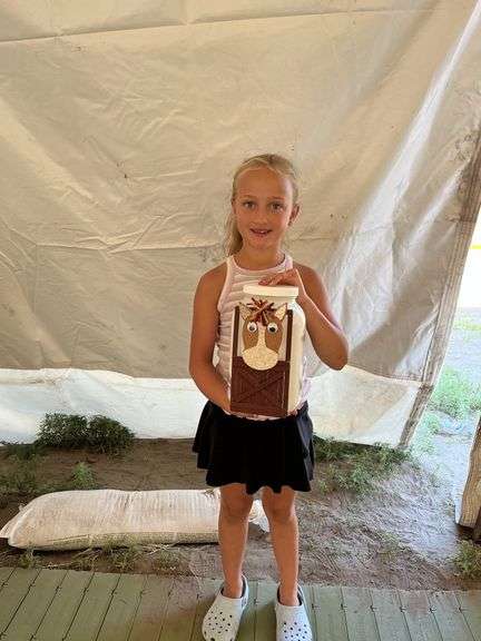 Kinzlee Stuart's Horse - Kraupie's Real Estate & Auctioneers