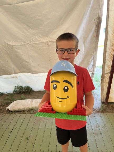 Luke Rice's Lego's - Kraupie's Real Estate & Auctioneers