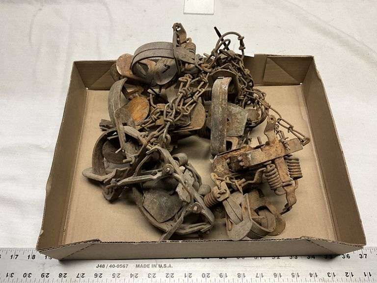 8 Victor 1 1/2 coil spring traps - Legacy Auction Company