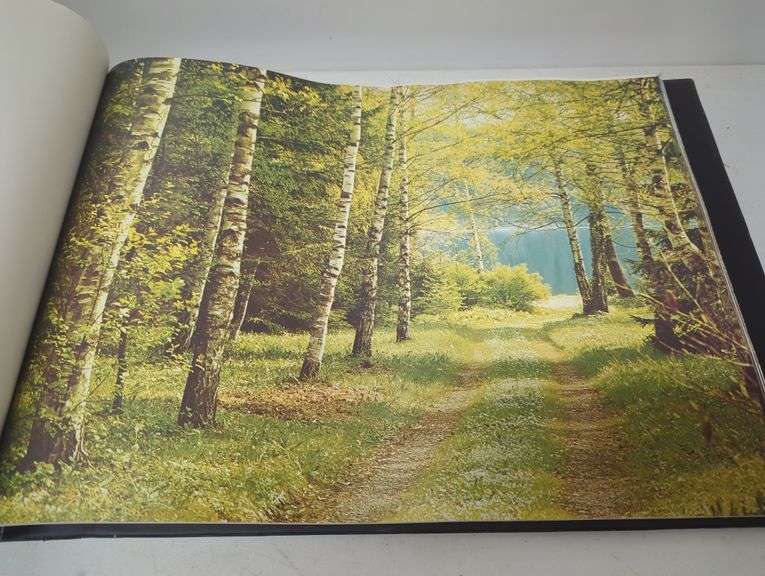 Old photos, wall mural samples - Legacy Auction Company