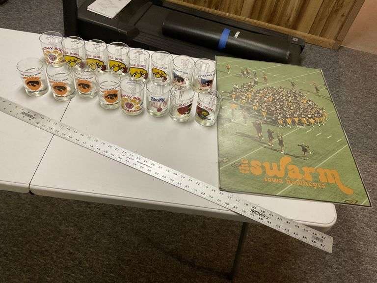 Iowa Hawkeyes the swarm poster and drink glasses - Legacy Auction Company