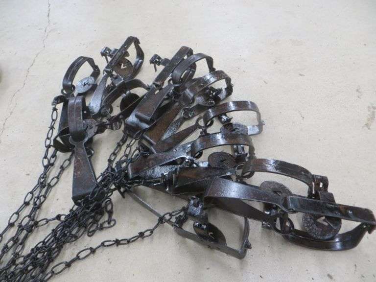Traps - Victor #1 Long Spring (12) - Lambrecht Auction, Inc.