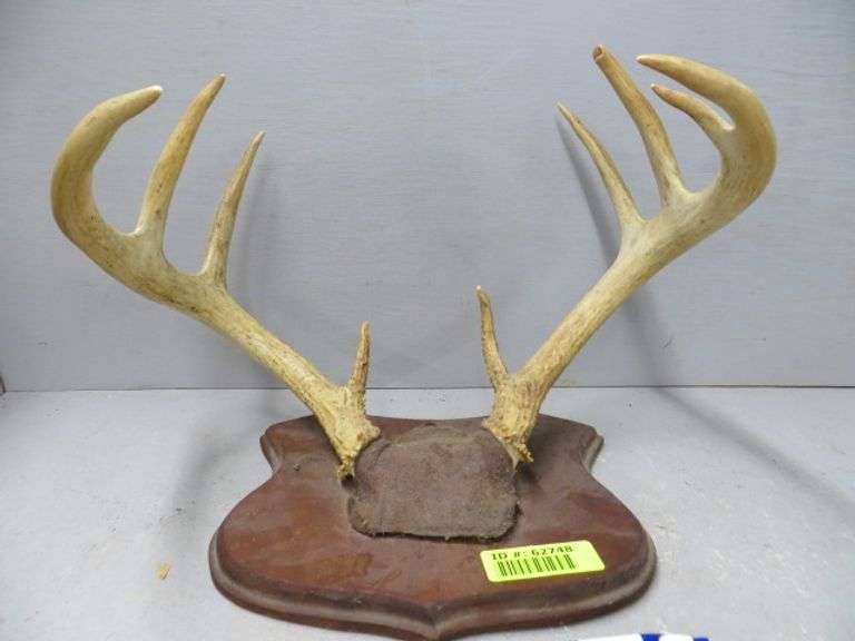 9-Point Antlers on Plaque - Lambrecht Auction, Inc.