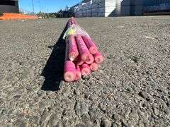 Pinkbar Laquered Fiberglass Rebar #4 1/2"x20' - Lambrecht Auction, Inc.