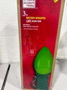 3 ft Battery Operated LED Jumbo Bulb - Lambrecht Auction, Inc.