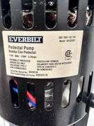 Everbilt 1/3 HP Plastic Pedestal Sump Pump - Lambrecht Auction, Inc.