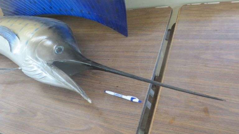 "Blue Marlin Wall Hanging - 102" Long - Lambrecht Auction, Inc.