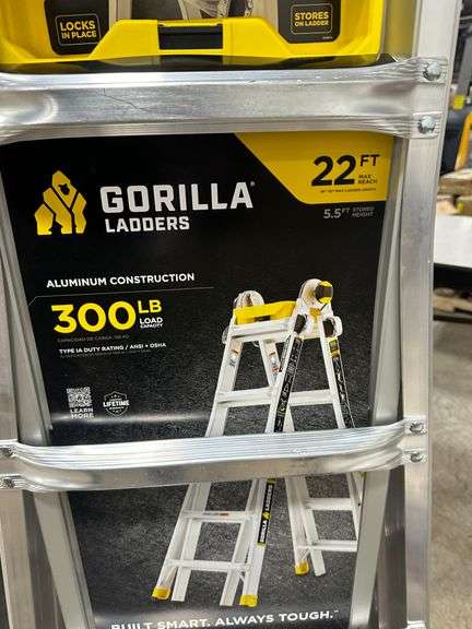 Extraordinary Gorilla 22 Ft Ladder Photos
