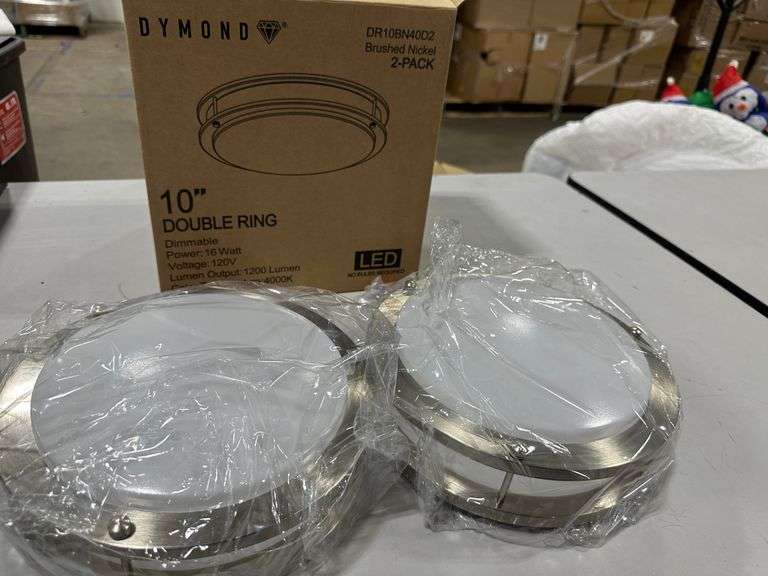 Dymond 10" Double Ring Ceiling Light - 2 Pack - Lambrecht Auction, Inc.