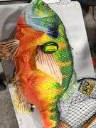 Bass Pro Shops Giant Stuffed Bluegill For Kids - Lambrecht Auction, Inc.