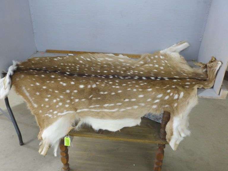 Fallow Deer Hide - Lambrecht Auction, Inc.