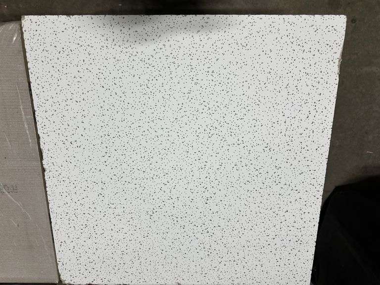 USG Ceilings 2 ft. x 2 ft. Radar Basic White Square Edge Lay-In Ceiling ...