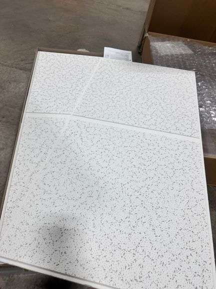 Armstrong CEILINGS Scored 24 in. x 48 in. Tegular Ceiling Tile (2x ...