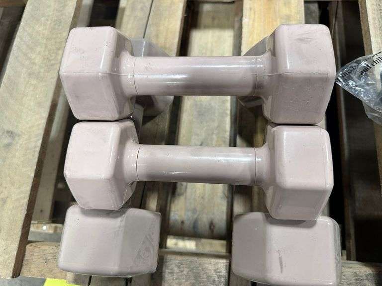 Blogilates Weights (2x$) - Lambrecht Auction, Inc.