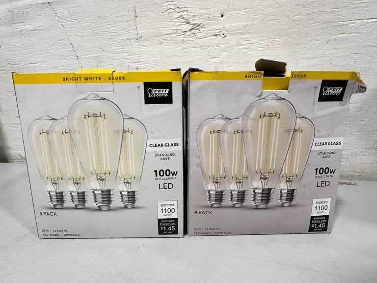 Straight Filament Vintage Edison LED Light Bulb (2x$) - Lambrecht ...