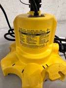 1/6 HP WaterBUG Submersible Utility Pump with Multi-Flo Technology ...
