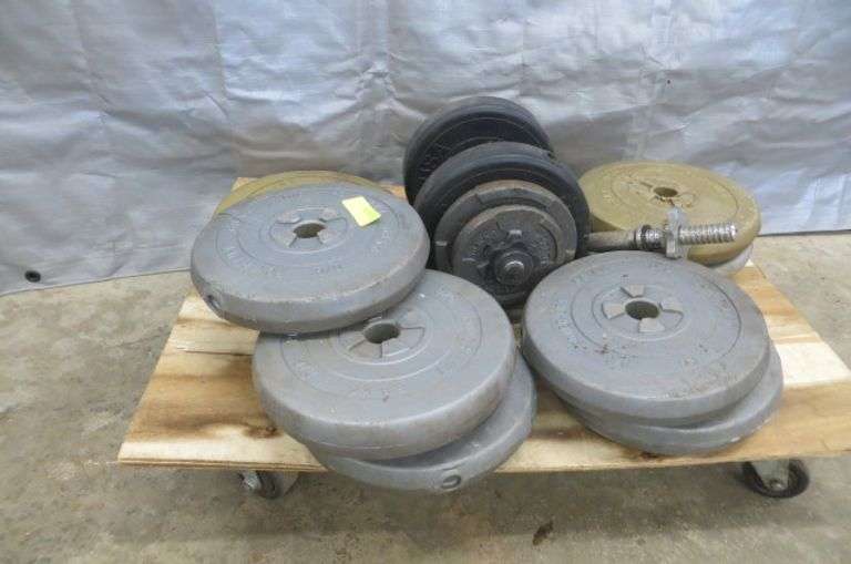 Assorted Weights w/ 2 Hand Barbells - Lambrecht Auction, Inc.