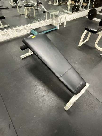 Cybex Multi-Purpose Chair - Lawler Auction Company