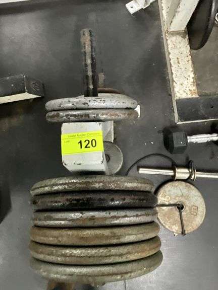 Small Weight Stand with 17 Gray Plate Weights - Lawler Auction Company