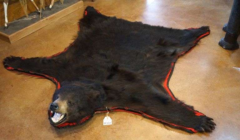 Large Black Bear Rug Taxidermy Mount - Leap Auctions, LLC
