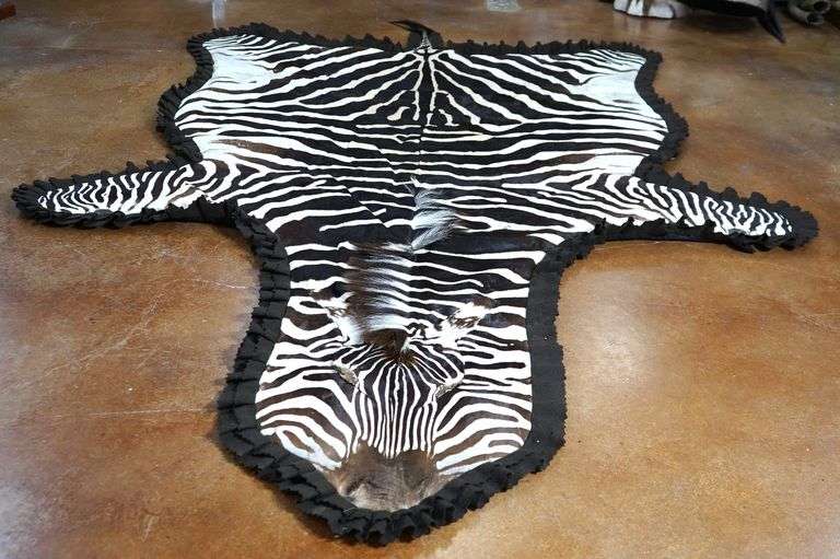 Beautiful! Padded & Double Felted Zebra Taxidermy Rug Mount - Leap ...