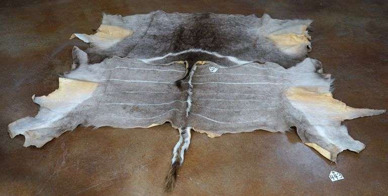 African Waterbuck & Greater Kudu Soft Tanned Half Backskins Taxidermy ...