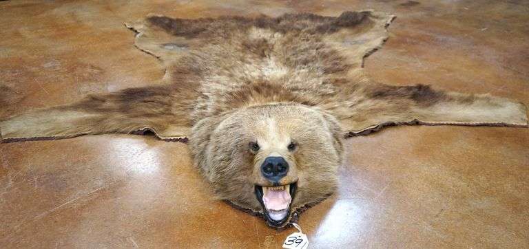 Grizzly Bear Rug Taxidermy Mount - Leap Auctions, LLC