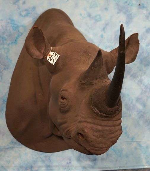 **TEXAS RESIDENTS ONLY!** Real Skin Black Rhino with Reproductions ...