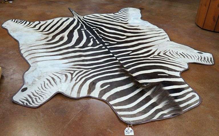Large African Zebra Rug Padded Taxidermy Mount - Leap Auctions, LLC