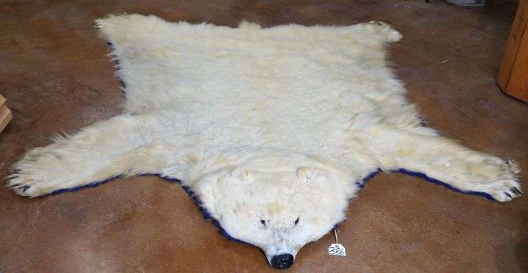 Large Polar Bear Rug Taxidermy Legal Vintage Mount **U.S Residents Only ...