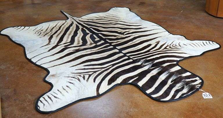 Beautiful Chapman's Zebra Padded Rug Taxidermy Mount - Leap Auctions, LLC