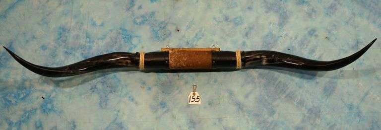 Longhorn Steer Horns on Panel Taxidermy Horn Mount - Leap Auctions, LLC