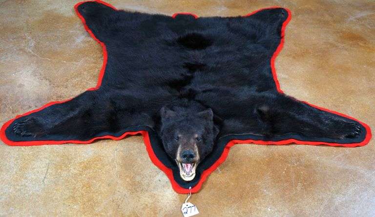 Beautiful Quality Black Bear Rug Taxidermy Mount - Leap Auctions, LLC
