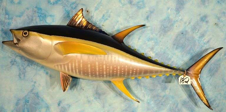 Brand New! 48 1/2" Yellow Fin Tuna Fiberglass Reproduction Taxidermy ...
