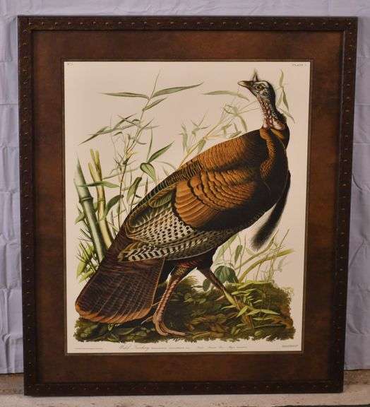 Large framed print "Wild Turkey" by John J. Audubon: 975-1472 - R.H ...