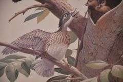 Large signed limited edition framed print of wood ducks by A.J ...
