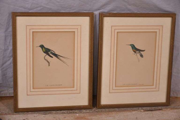 Pair of small vintage framed hummingbird prints; 192-3029 - R.H. Lee ...