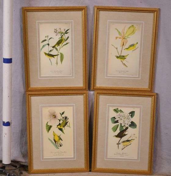 Set of 4 small framed vintage bird prints by John J. Audubon; 975-1765 ...