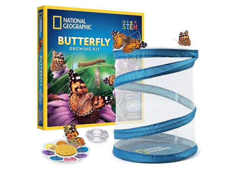 National Geographic Butterfly Growing Kit - Butterfly Habitat Kit with ...