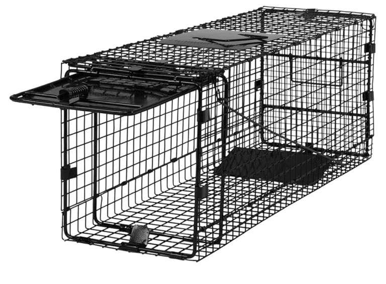 Humane Way Folding 32 Inch Live Humane Animal Trap - Safe Traps for All ...