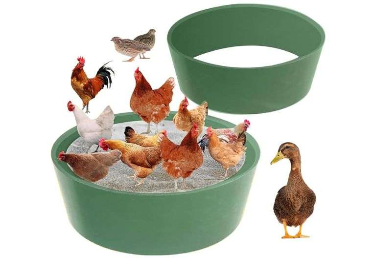 Chicken Dust Bath Tub, 25'' D * 5.9'' H, Bottomless Design, PE Eco ...