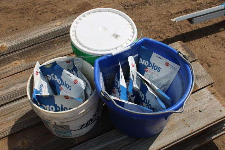 (3) Pails of Horse Snacks - Lee Real Estate & Auction Service