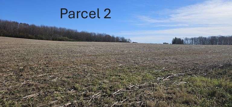 Parcel 2 - (37.24 acres Vacant Land) - Lee Real Estate & Auction Service