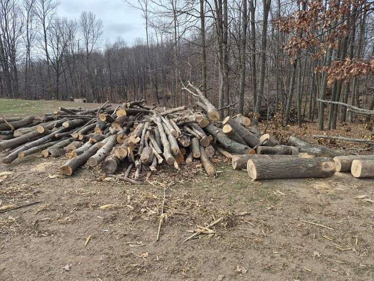 Large Pile of Logs & Limbs - Firewood (off-site) - Lee Real Estate ...